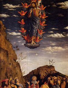 Journey with Jesus - Taken Up To Heaven: The Ascension of Jesus