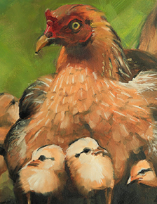 Journey with Jesus - The Way of the Hen