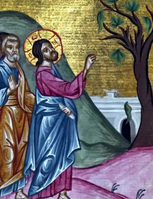 Journey with Jesus - Ask a Better Question